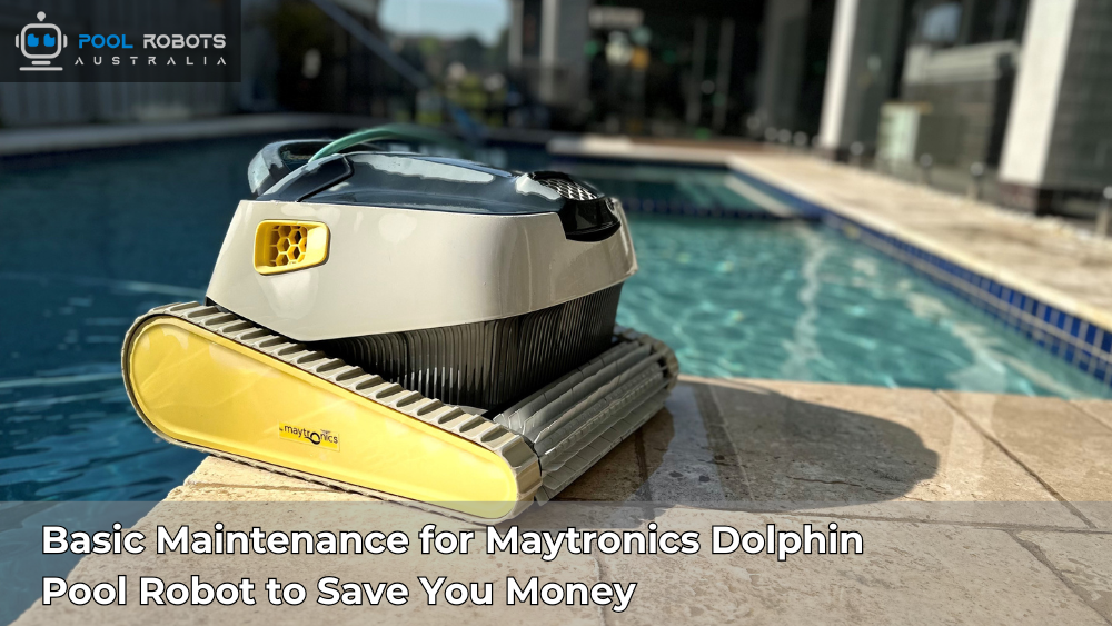 Basic Dolphin Pool Robot Maintenance Tips to Save Money – Pool Robots ...